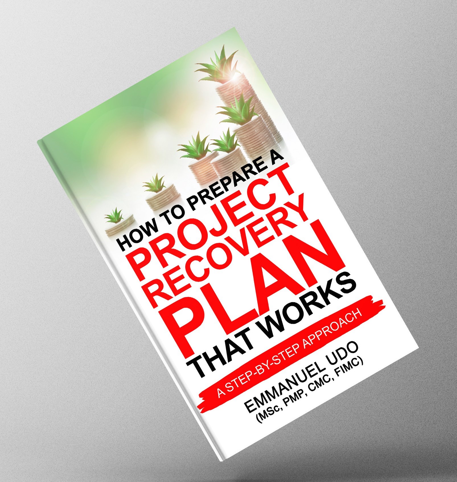 How to Prepare a Recovery Plan that Works - emmanuel-udo.com